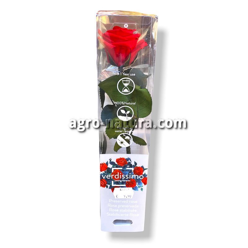 Rosa Preservada o Eterna - Agronatura tienda online para animales